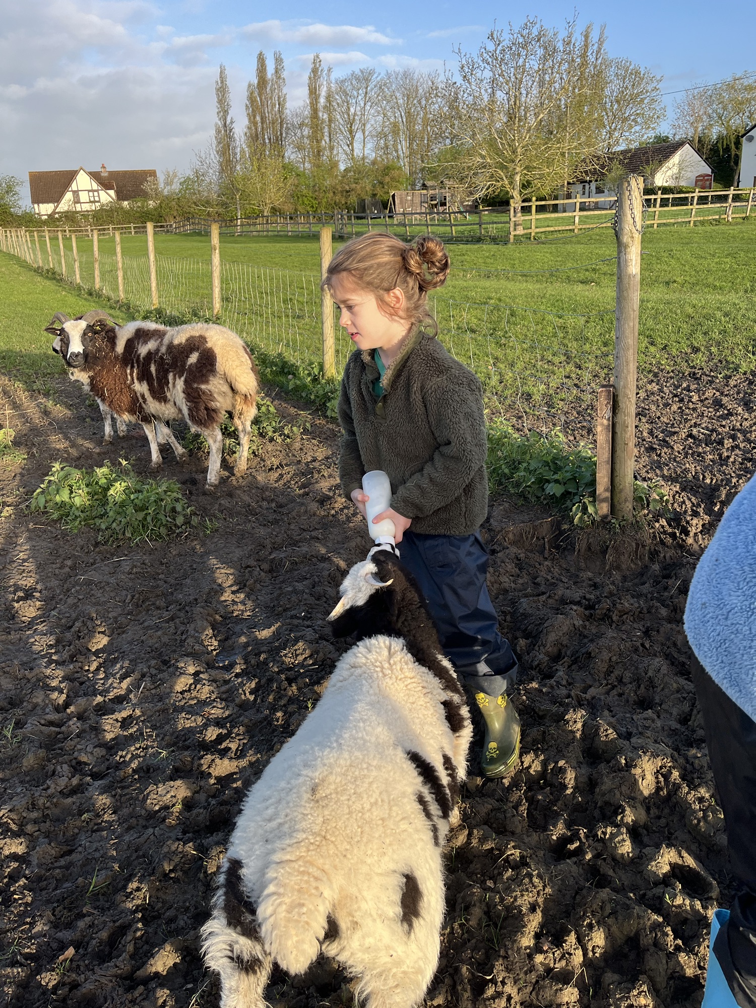 Sunny, windy Sunday morning. | gfreedmanblog