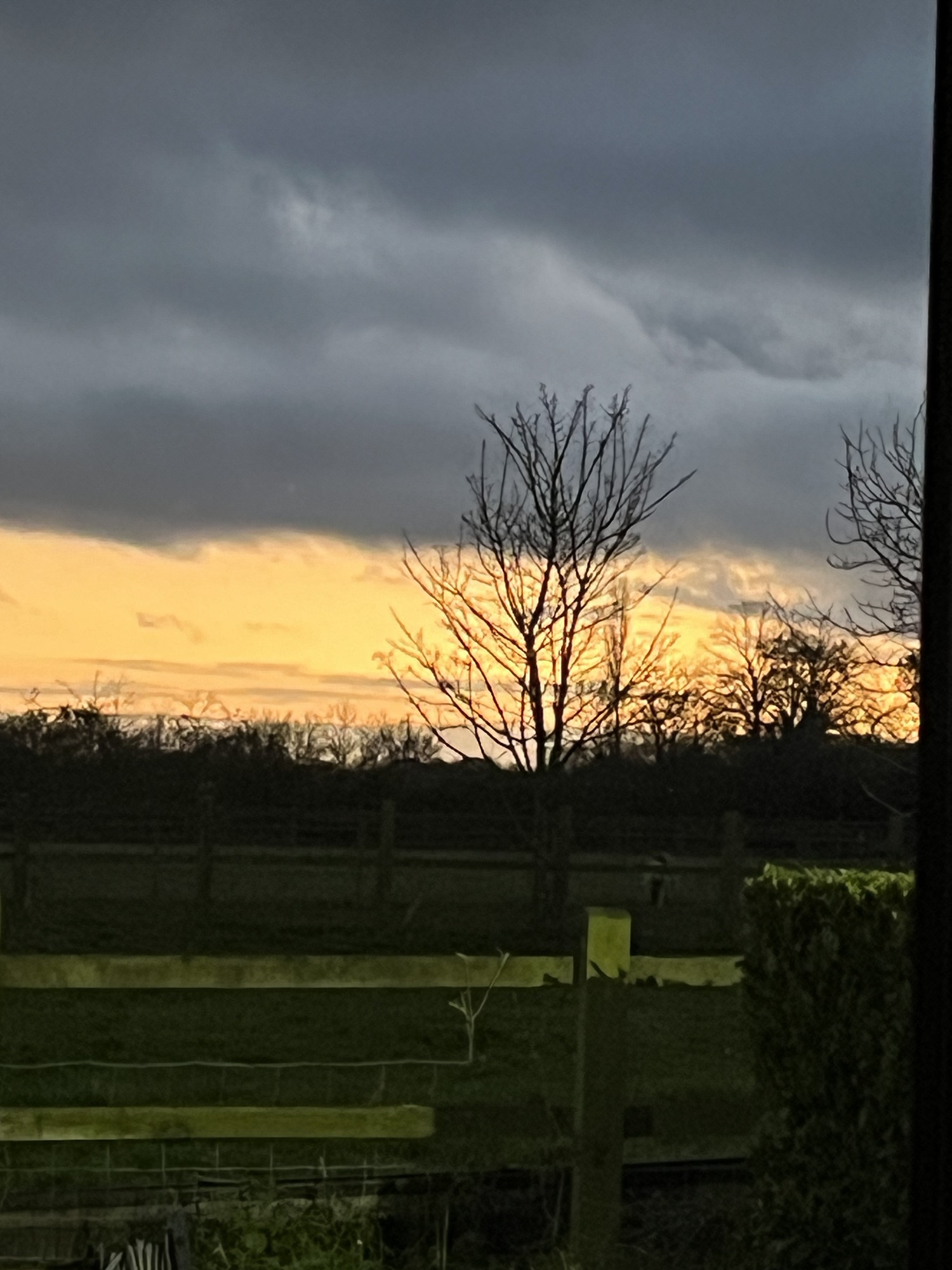 A beautiful end to a dull, grey day | gfreedmanblog