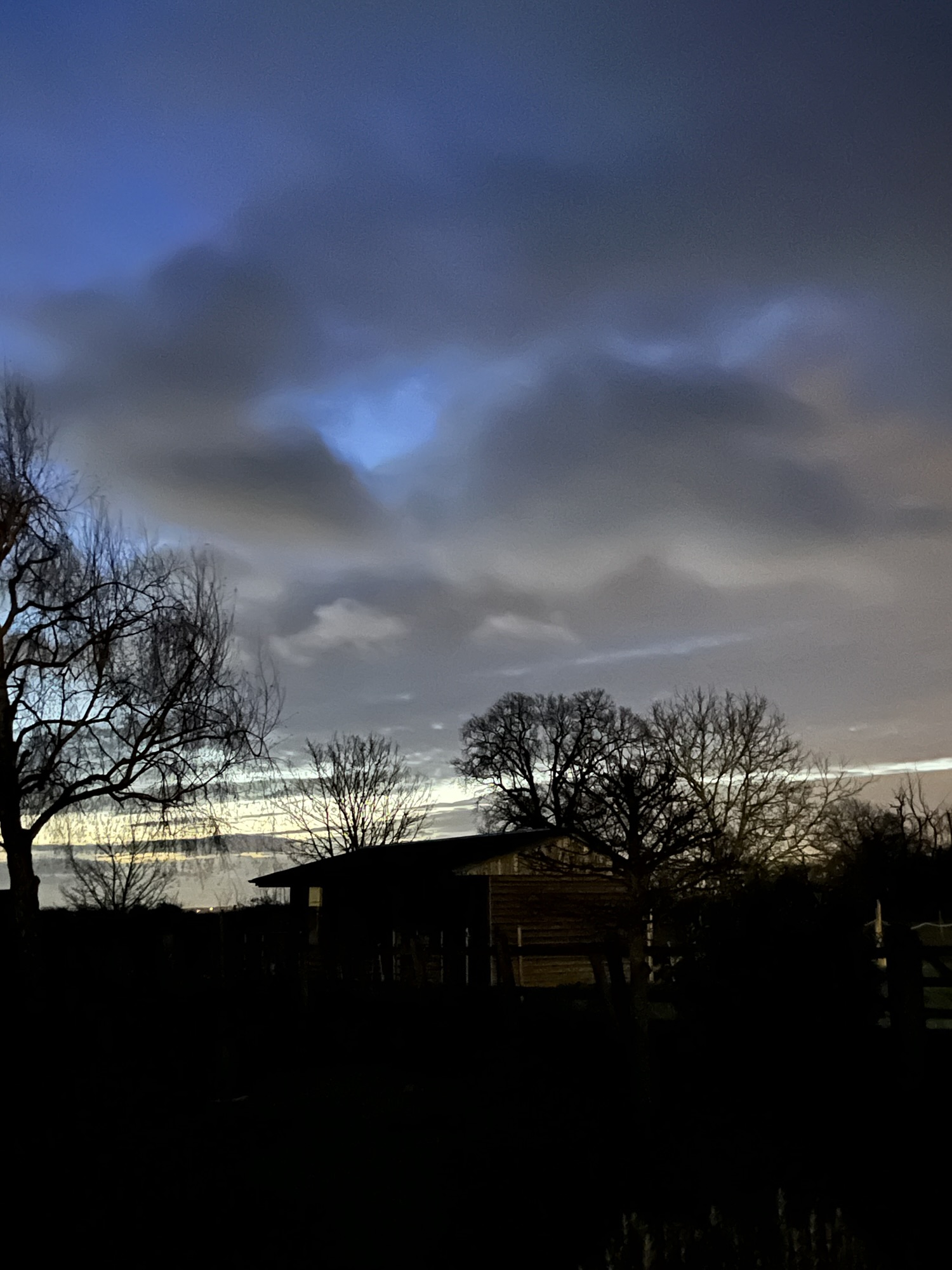 Early morning medley | gfreedmanblog